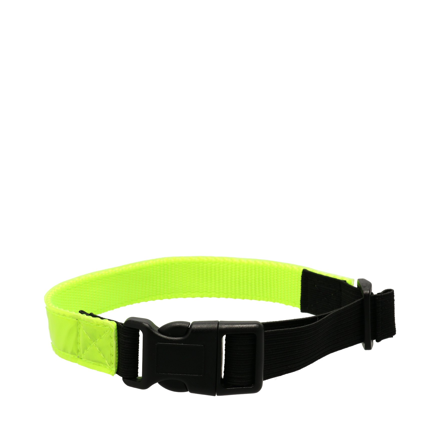 Buy Dogman Reflective Collar for your dog | Tinybuddy