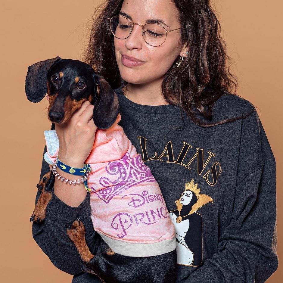 Buy Disney Princess Dog Sweater for your dog | Tinybuddy