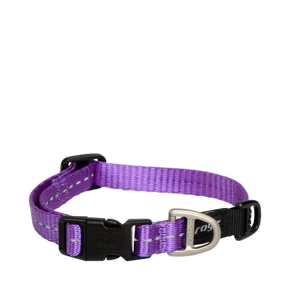 Buy Rogz Collar for your dog Tinybuddy