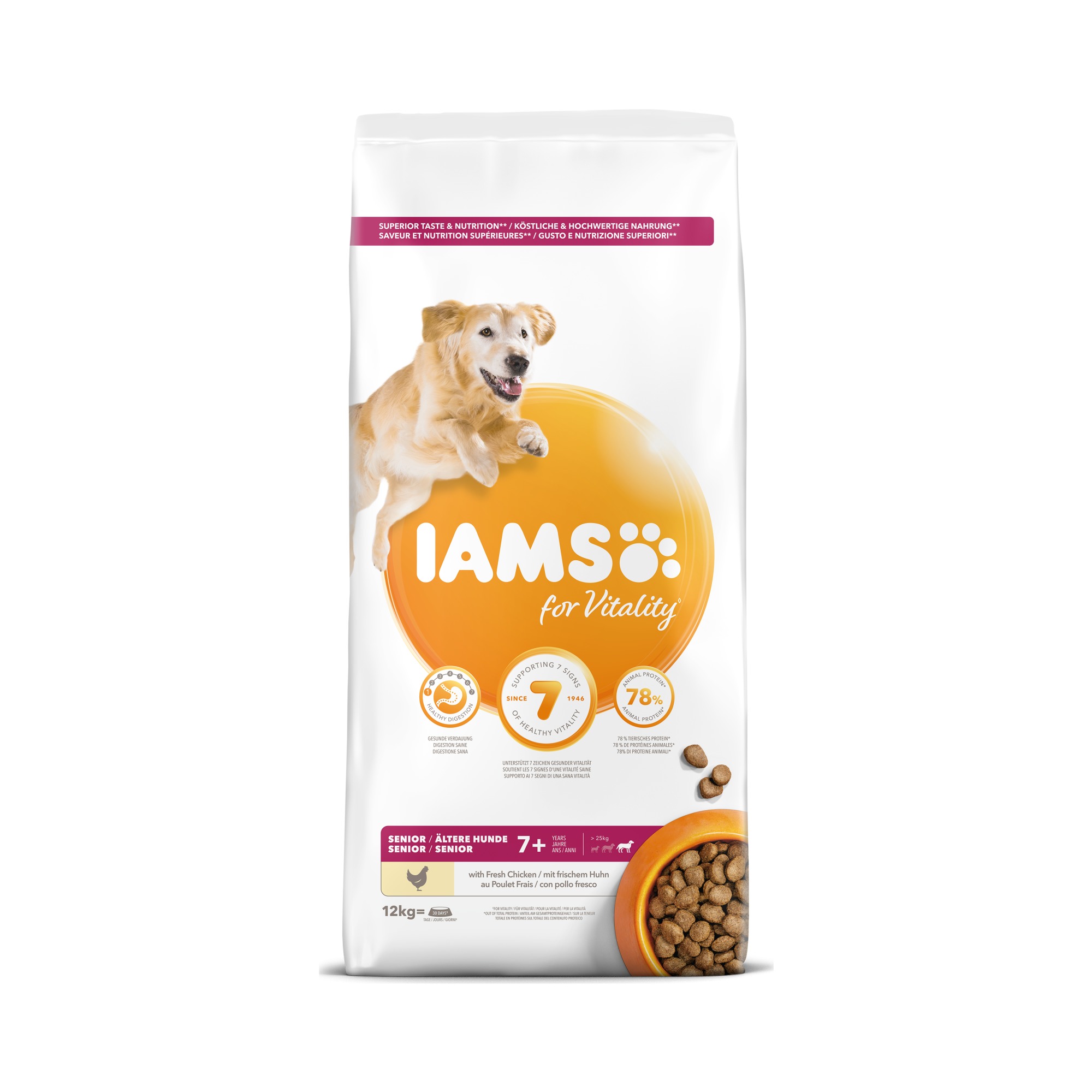 Buy IAMS Senior Large Breed for your dog | Tinybuddy